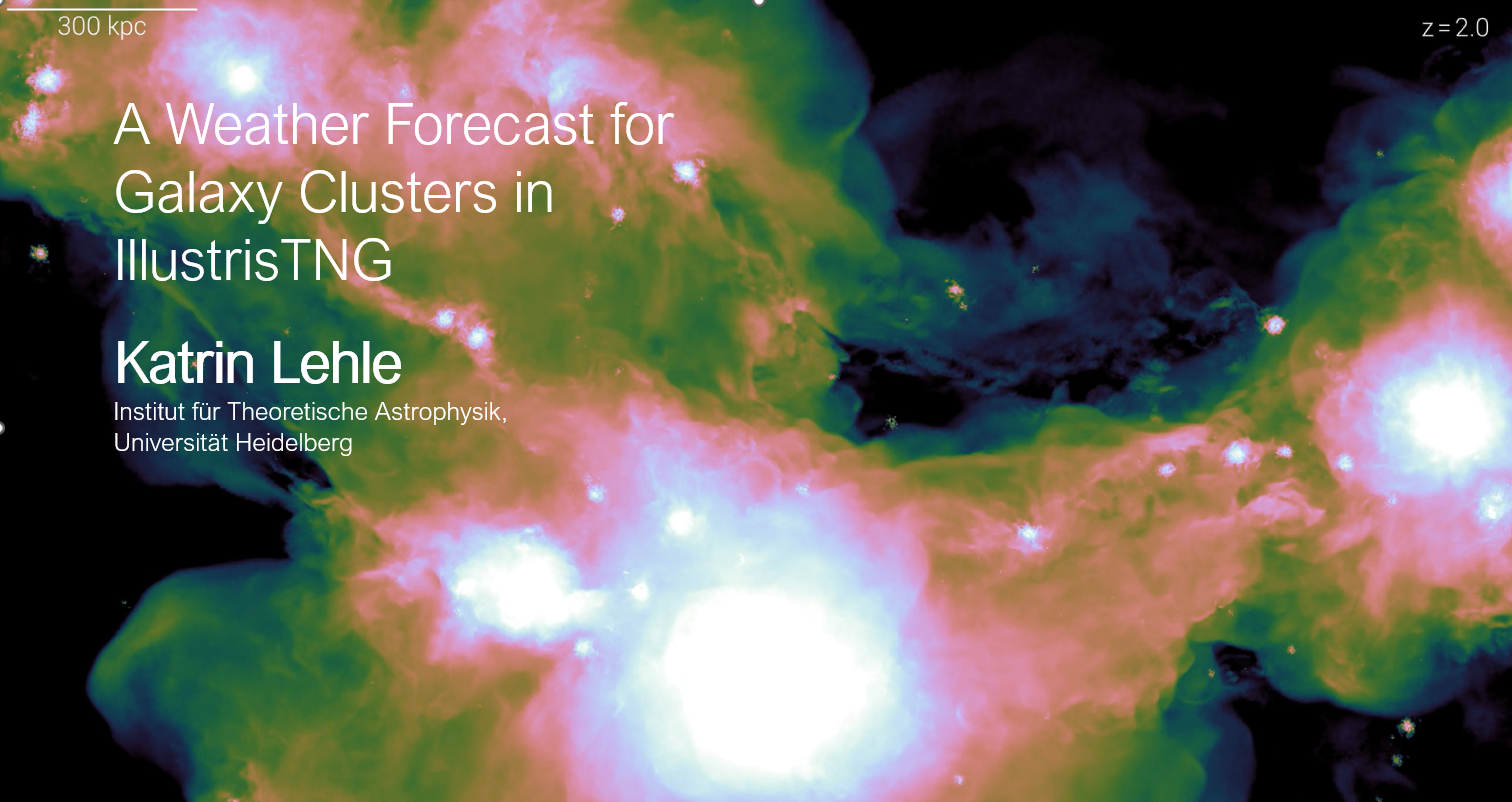 A Weather Forecast for Galaxy Clusters in IllustrisTNG | Katrin Lehle